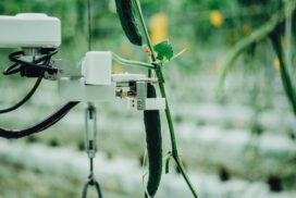 【製品紹介】キュウリ収穫ロボット2024 | スマート農業DXのAGRIST株式会社